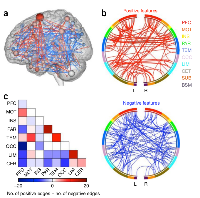 Analyzing neuroimaging data using ML/DL methods in R - LYQG blog