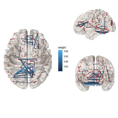 Analyzing neuroimaging data using ML/DL methods in R - LYQG blog